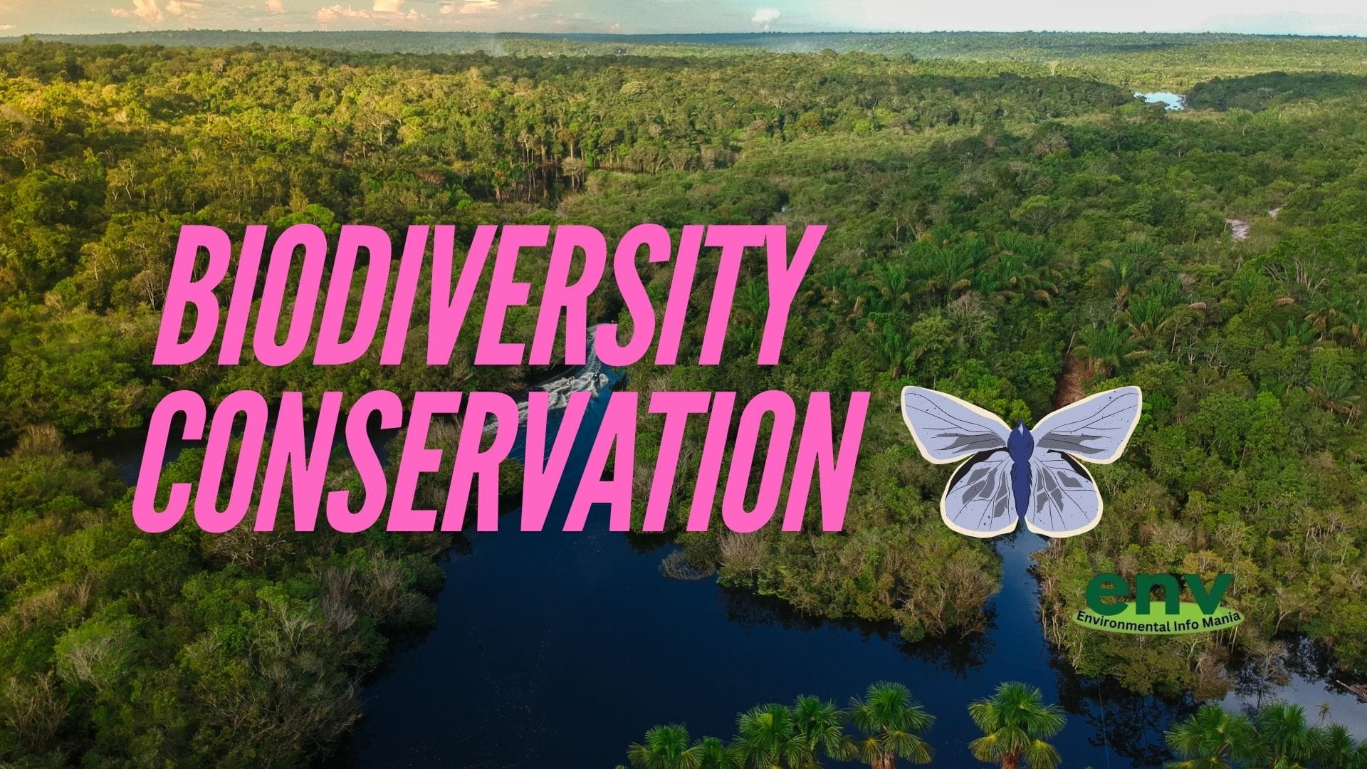 Biodiversity Conservation - envinfomania.com