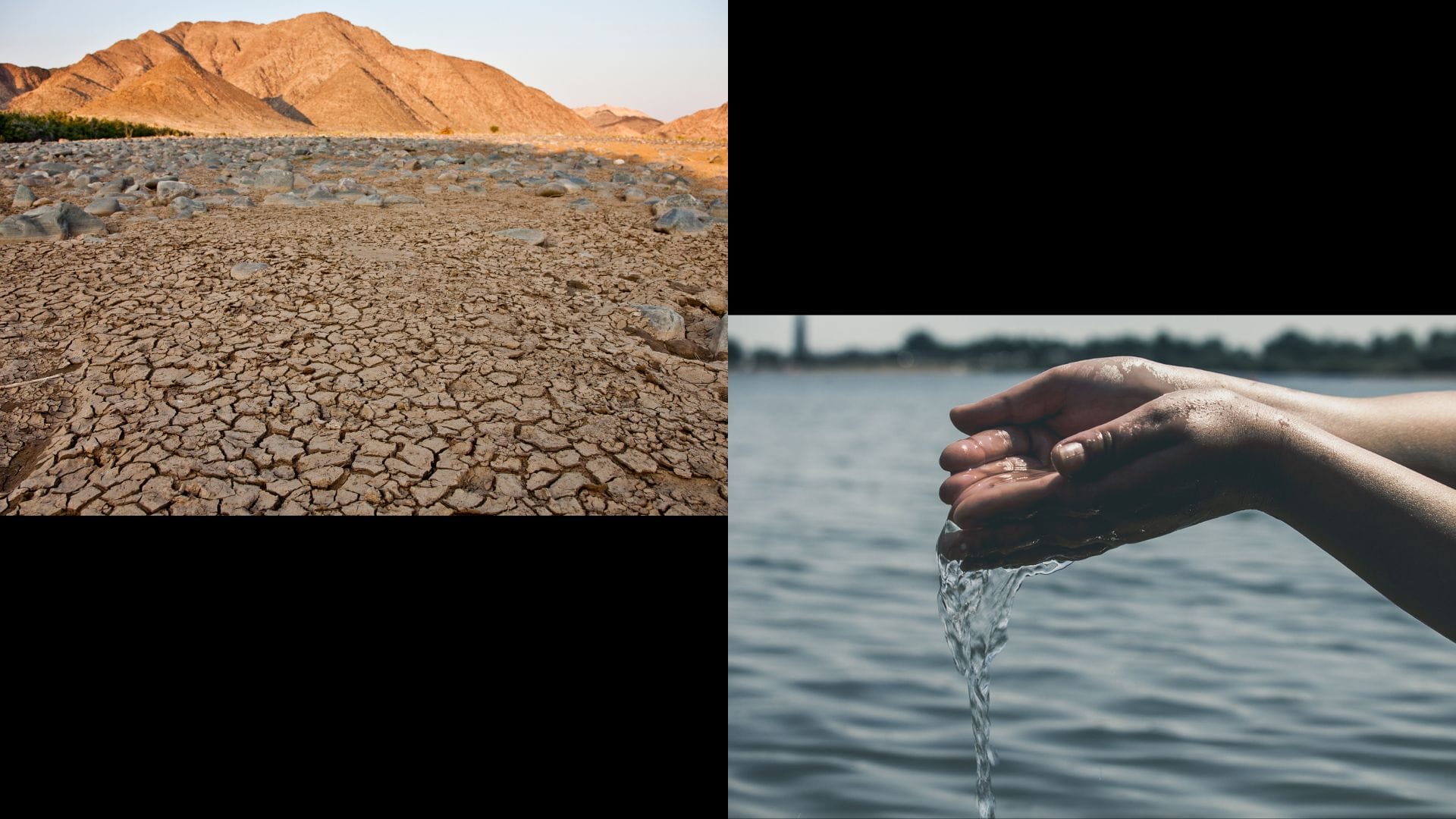 What is Water Shortage? Causes Impacts and Prevention - envinfomania.com