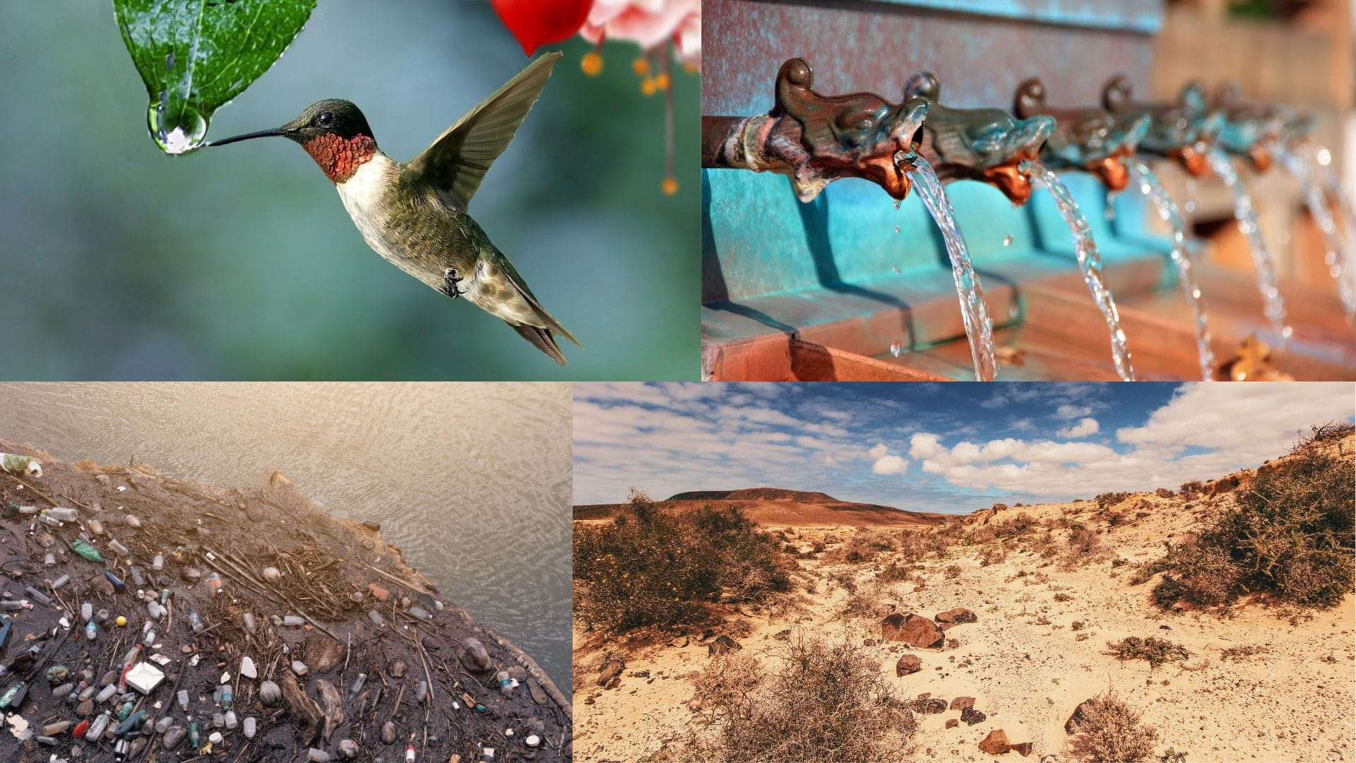 What is Water Shortage? Causes Impacts and Prevention - envinfomania.com