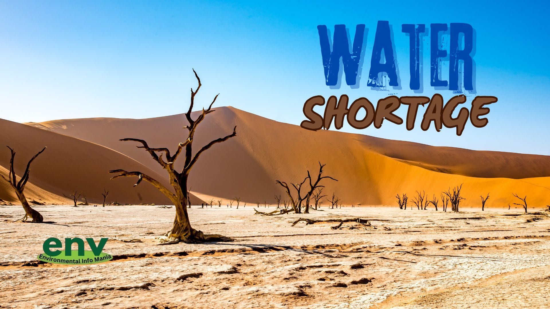 What is Water Shortage? Causes Impacts and Prevention - envinfomania.com