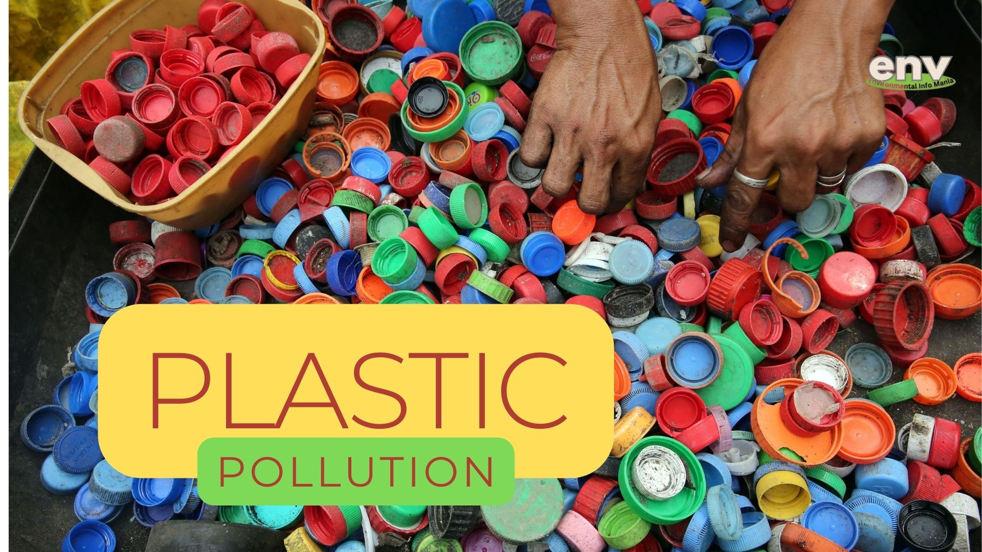 Plastic Pollution Environmental Impacts - envinfomania.com