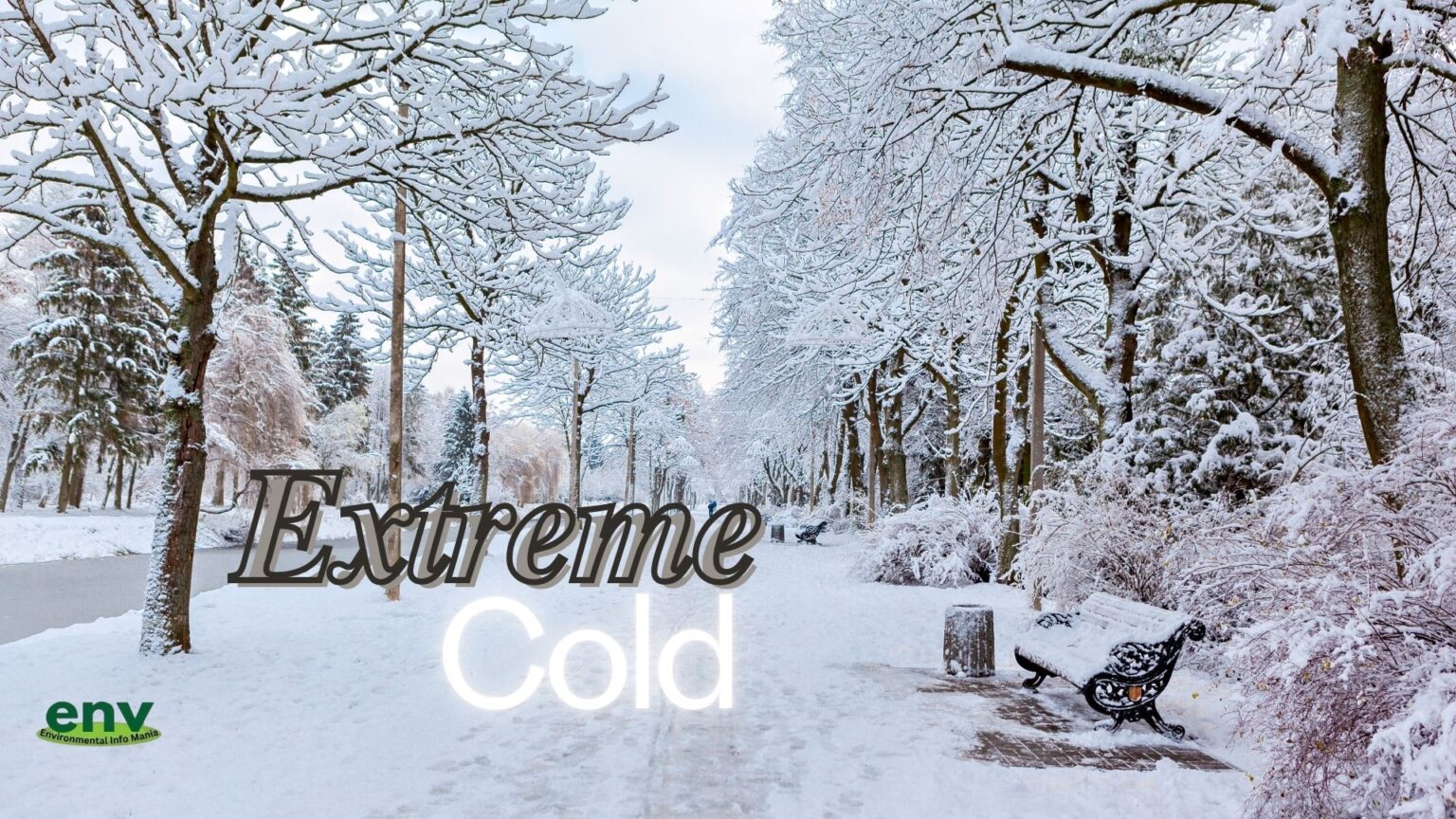 Extreme Cold Causes, Impacts and Climate Change - envinfomania.com